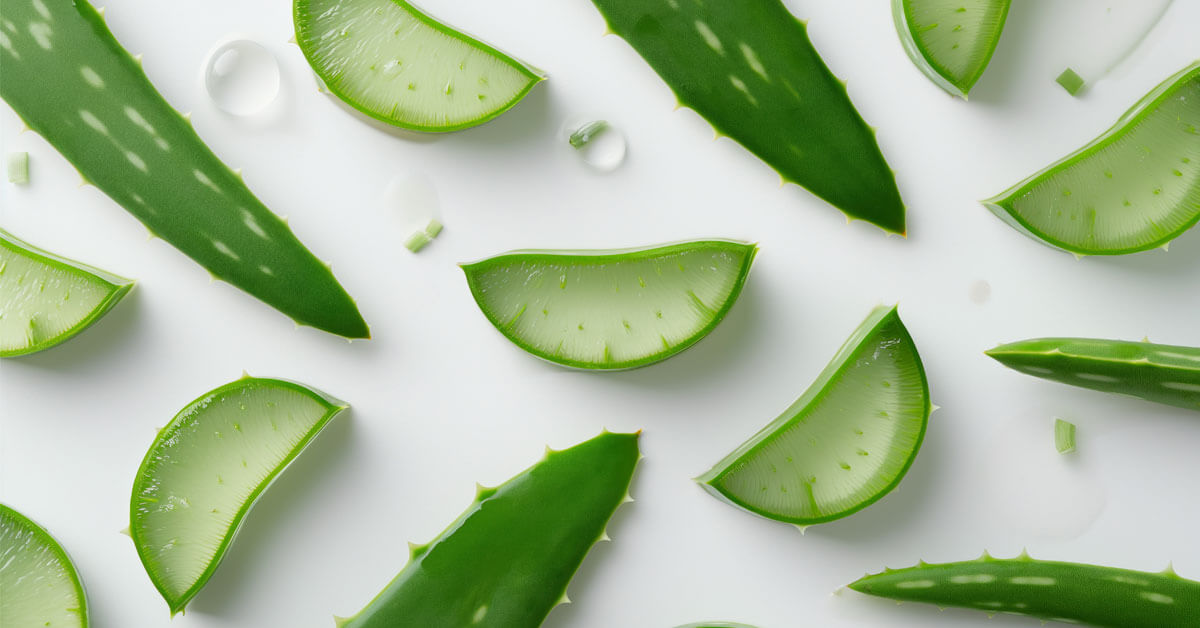 Experience Aloe Vera's Skin Benefits with Sabila Skincare